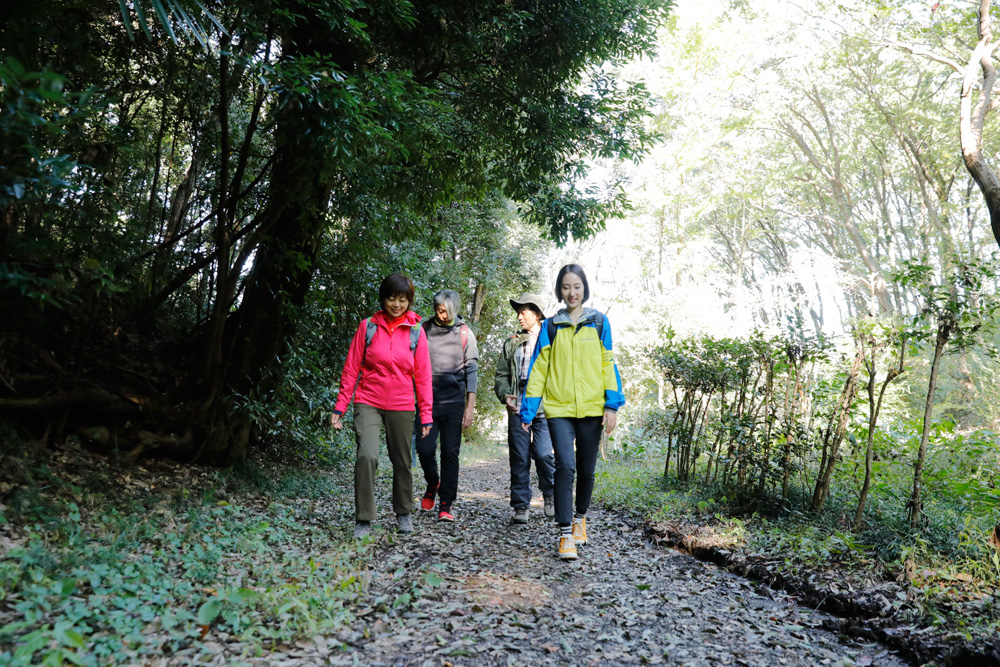 5/4(祝)みどりの日 Go to Forest！～全国の森を一緒に歩こう～に賛同し、埼玉県所沢市、愛知県岡崎市でイベント開催します！！｜日本 ...